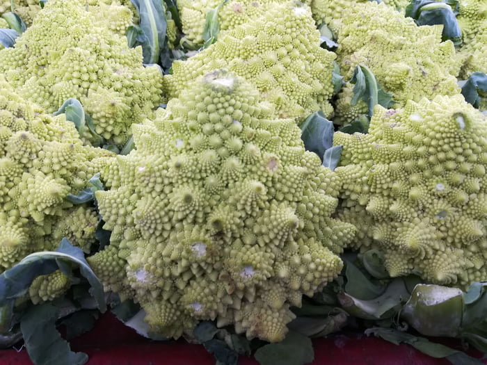 Fractal broccoli, acid tripping plants - 9GAG