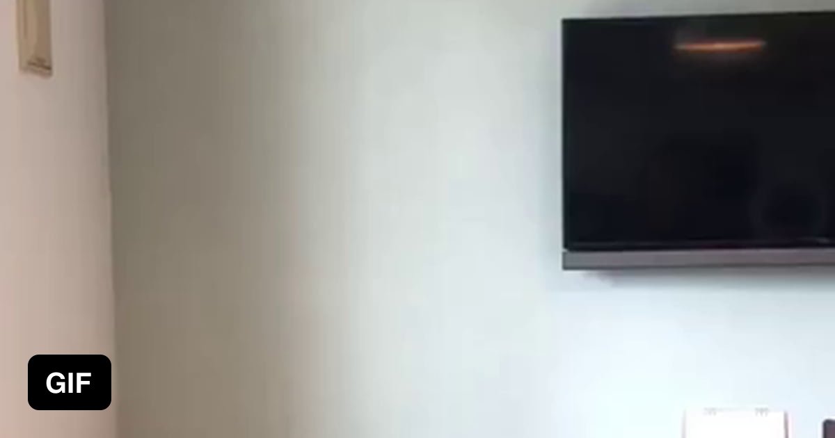 How did you get up there? - 9GAG