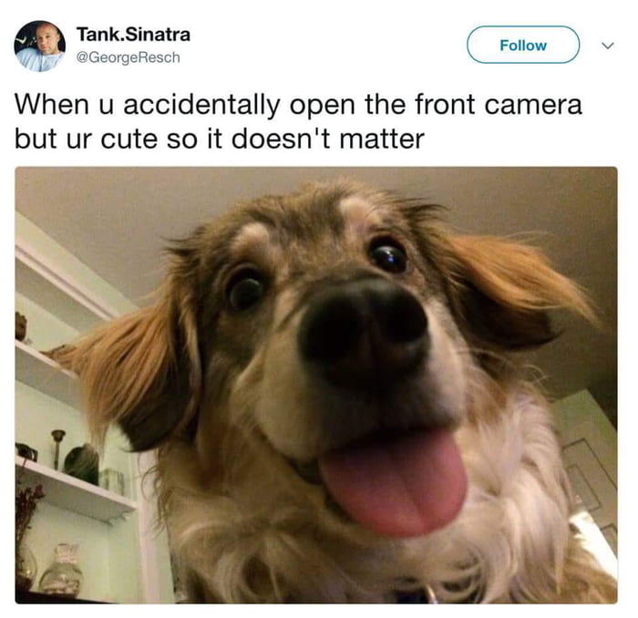 A very optimistic view on life - 9GAG