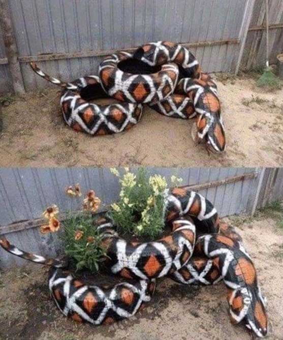 My Neighbour Painted Some Tires I Shat My Pants 9GAG my-neighbour-painted-some-tires-i-shat-my-pants-9gag