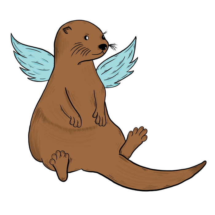 Flying otter - 9GAG