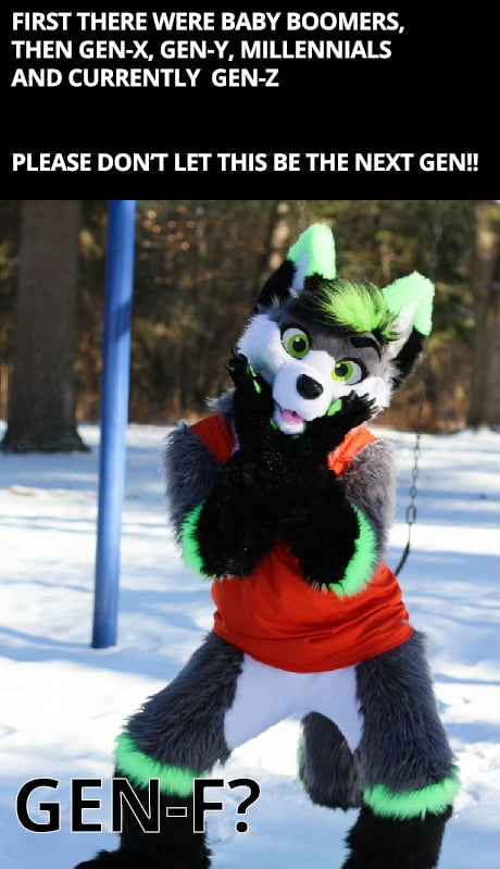 GEN-FURRY? - 9GAG