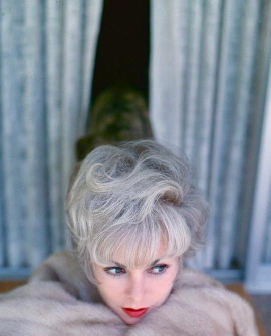 Janet Leigh, 1964. Photo taken by Peter Basch - 9GAG