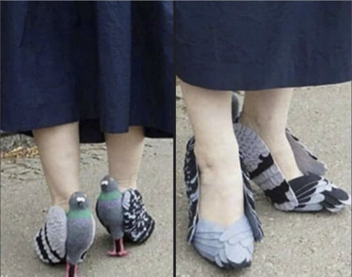 Pigeon high heels - 9GAG