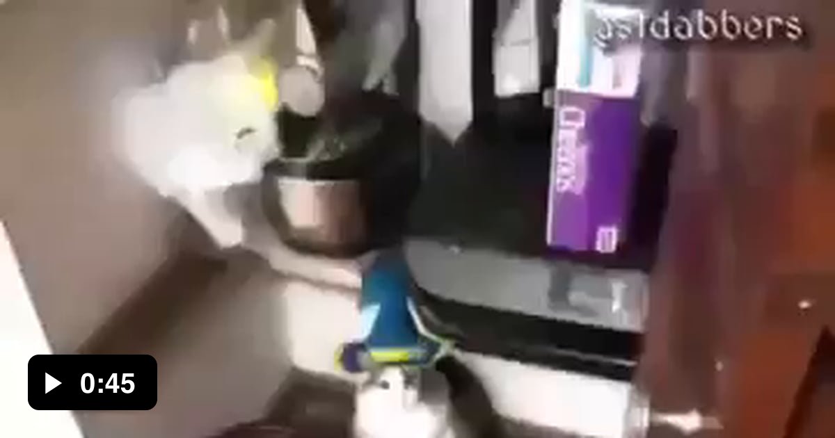 Cursed Images - 9GAG