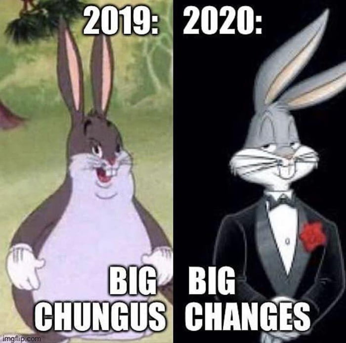 BIG BIG CHUNGUS CHANGES - 9GAG