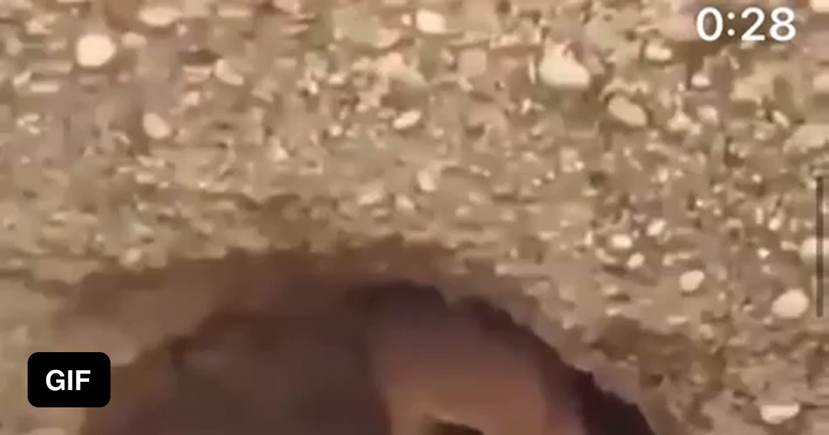 In a cave.... - 9GAG