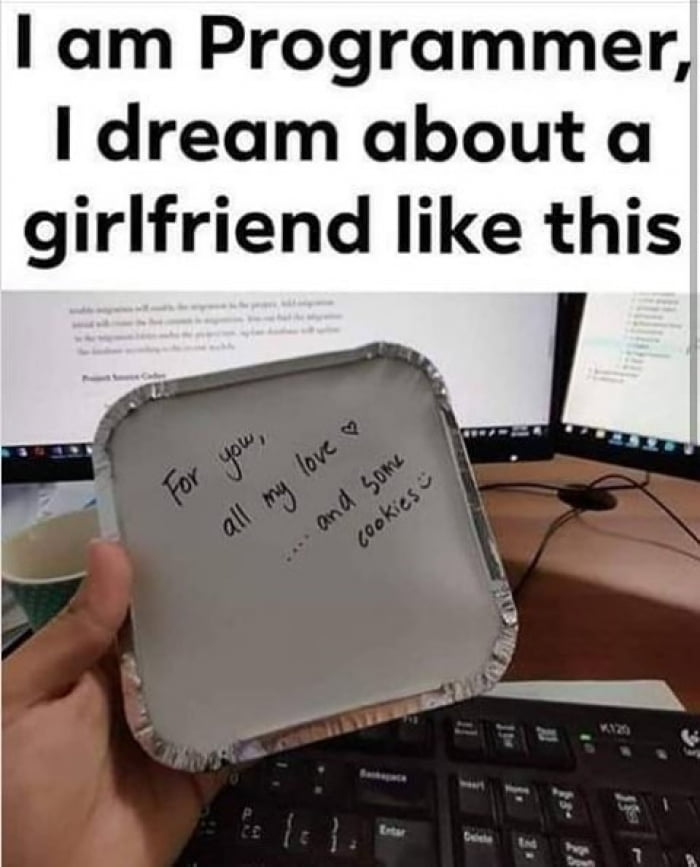 Dream life of a programmer... ''Follow us!'' 😅 - 9GAG