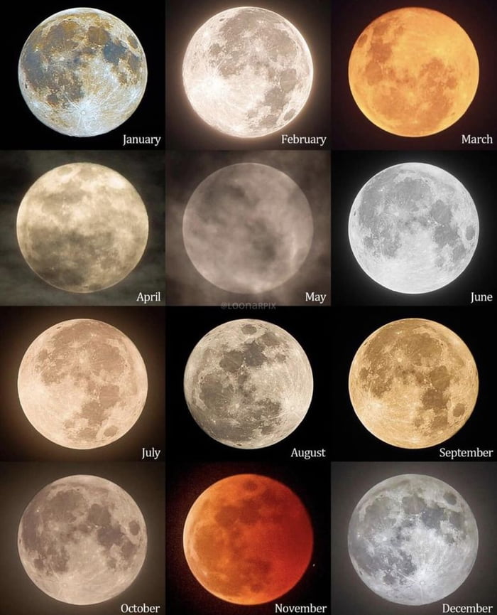Every Full Moon of the year 2022. Photographed by Loonarpix - 9GAG