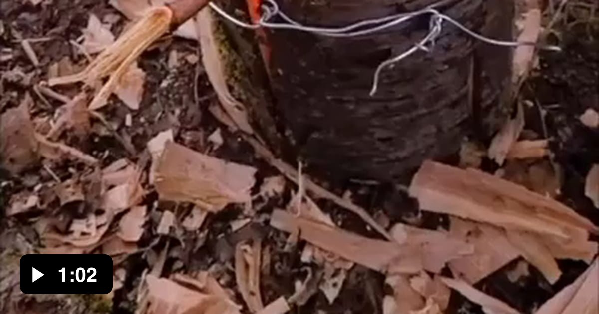 Most efficient way for a campfire - 9GAG