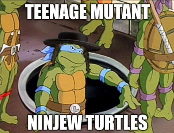 Turtles - 9GAG