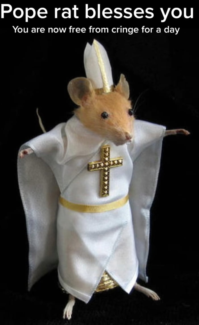 The pope rat is here - 9GAG