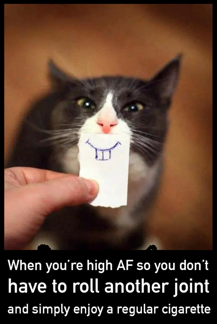 420 at his finest 👌 - 9GAG