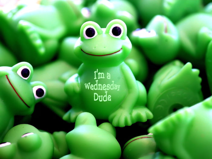 Diddy Frogs - 9GAG