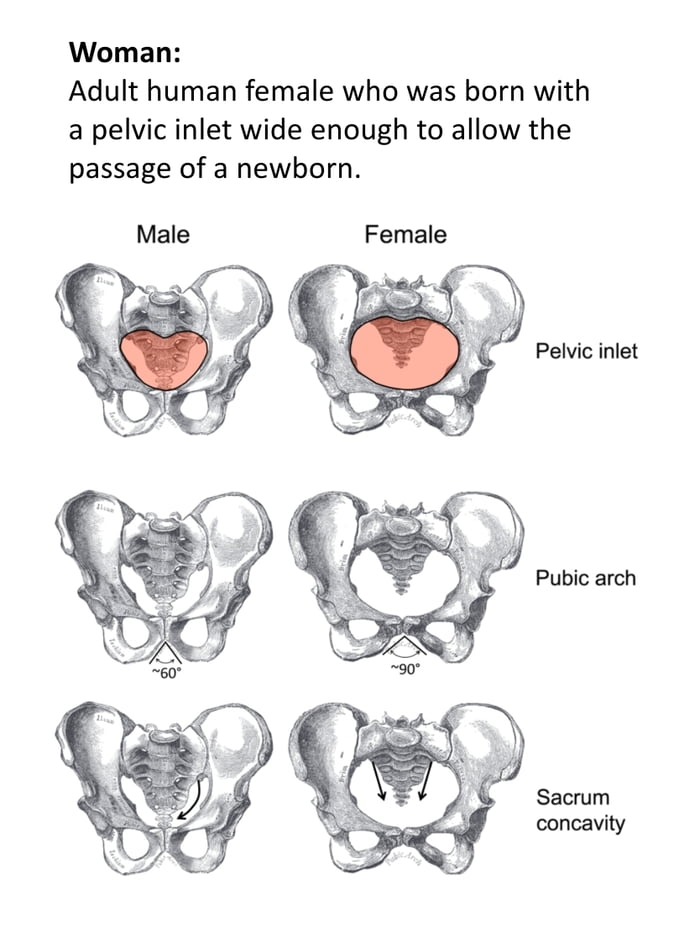 Lemme see that pelvic X-ray, dude. - 9GAG