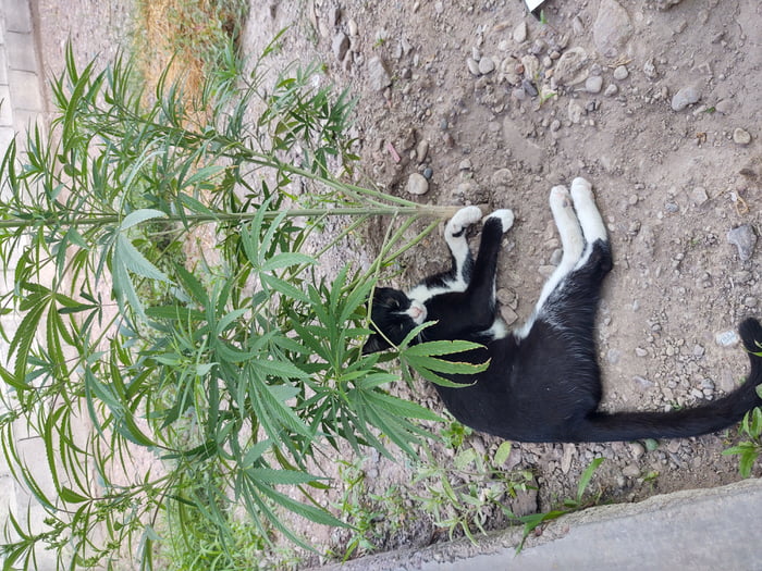 She got some funky eyes - 9GAG