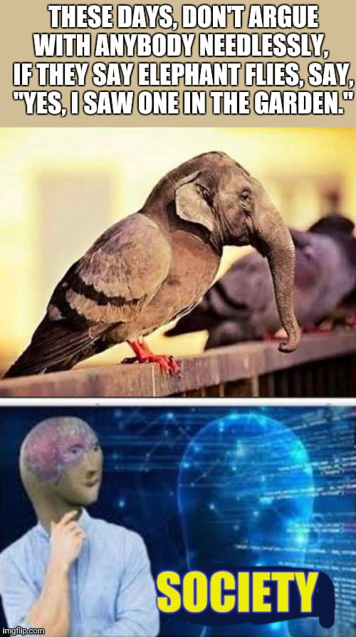 Wisdom meme returns... - 9GAG