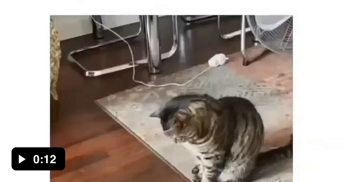 Toy Tester 😶 - 9GAG