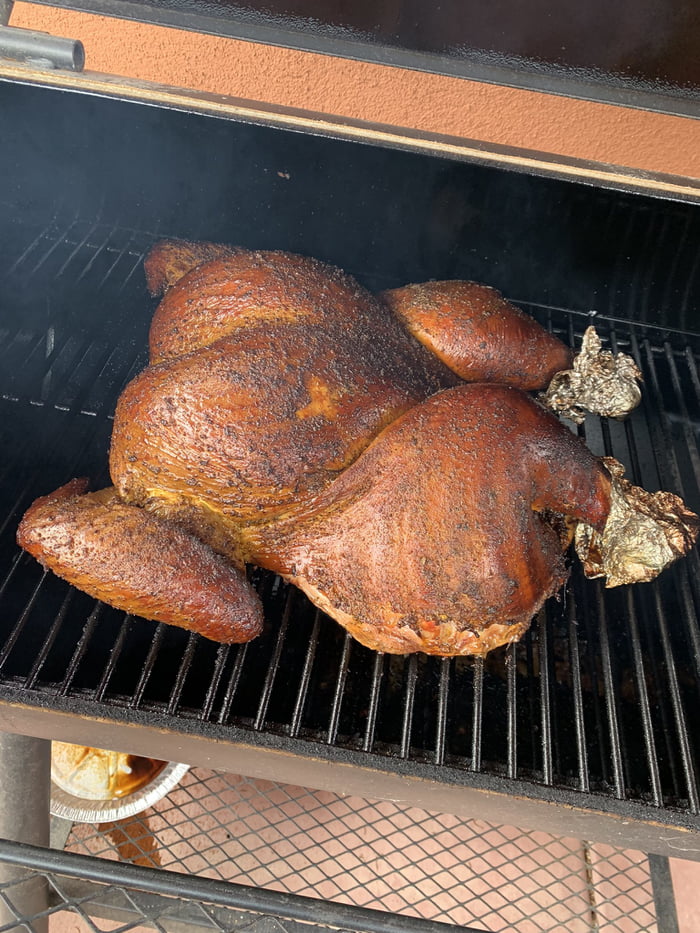 Just some random turkey. Nothing too special about it. Right? - 9GAG