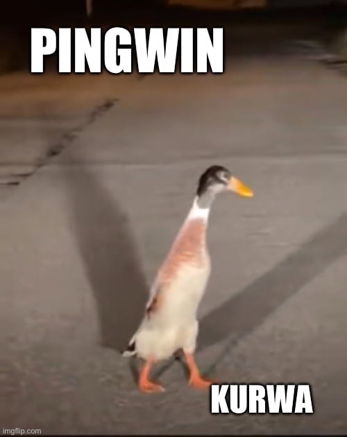 Give me all the pingwins - 9GAG