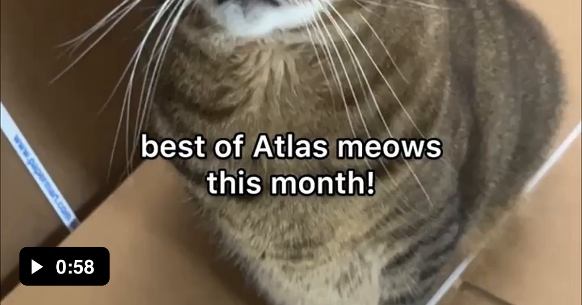 Atlas has a variety of meows! - 9GAG