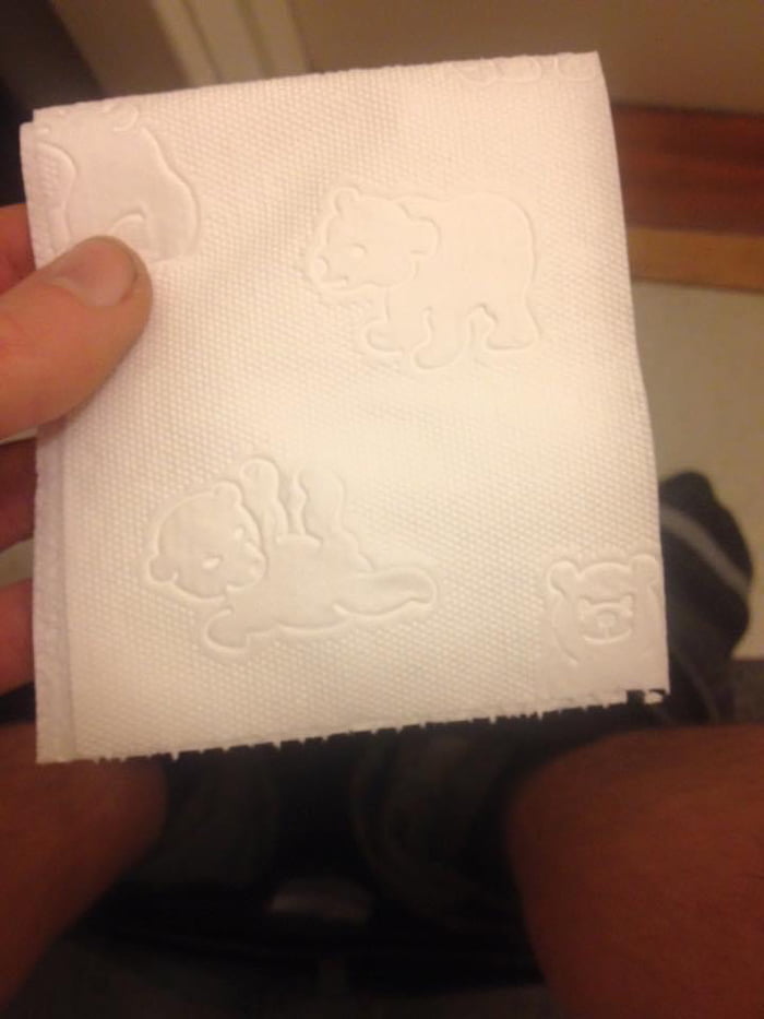 These bears are blissfully unaware of their horrible fate. - 9GAG