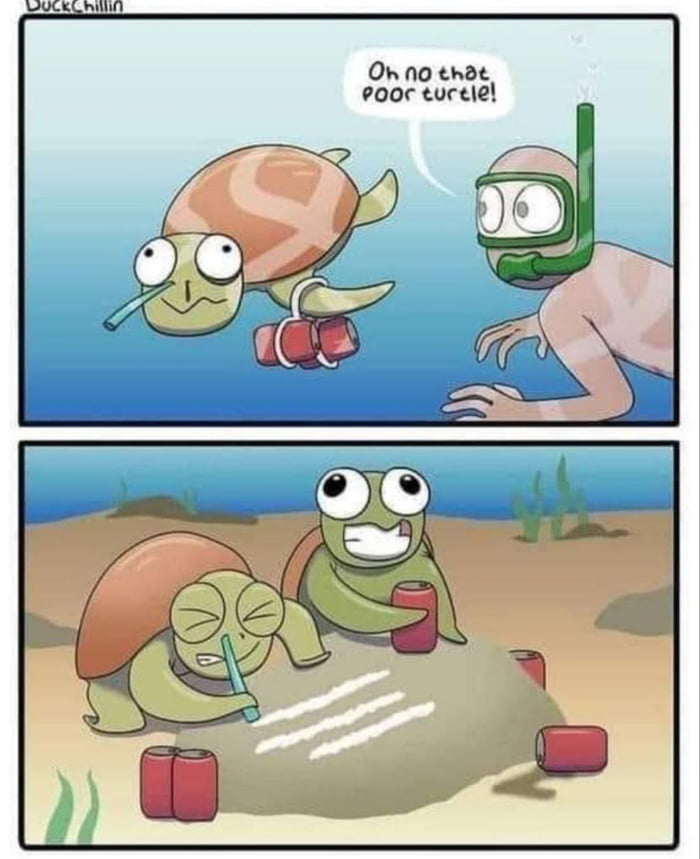 Snorting Turtle - 9GAG