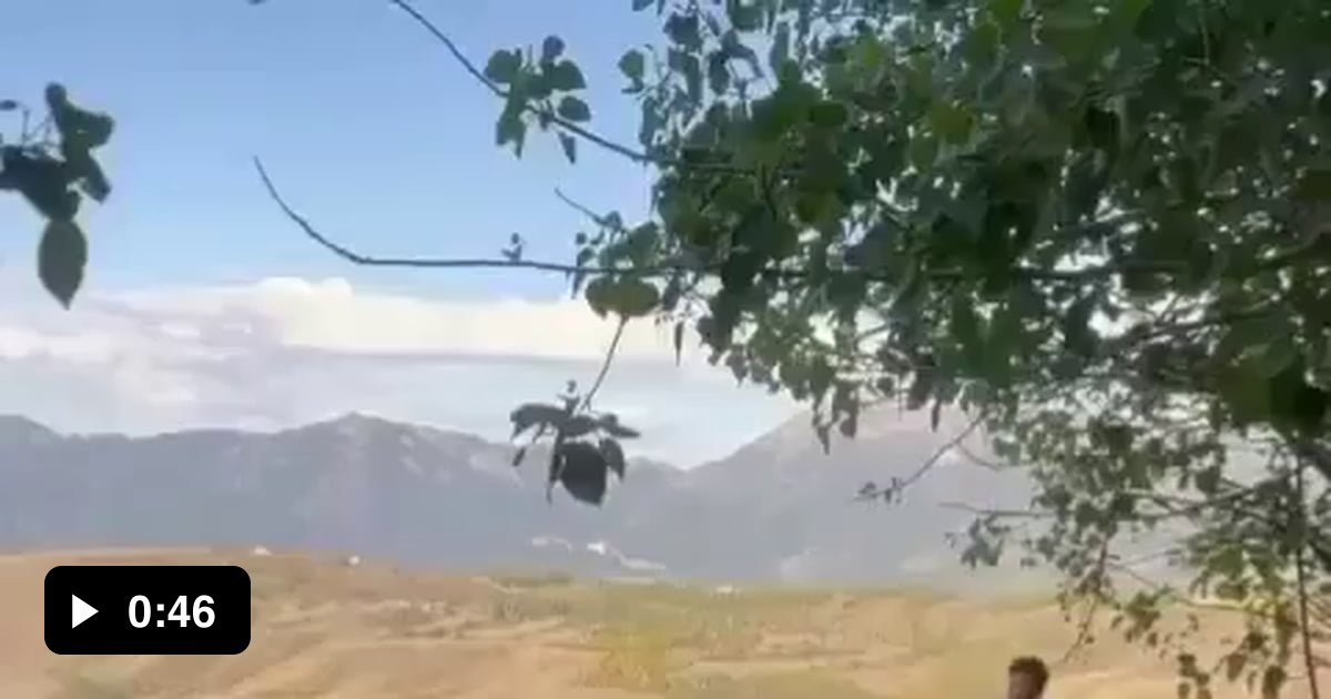 A bold strategy, - 9GAG