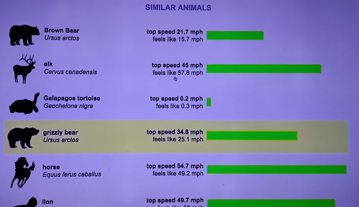 Just some animals and their speeds. - 9GAG