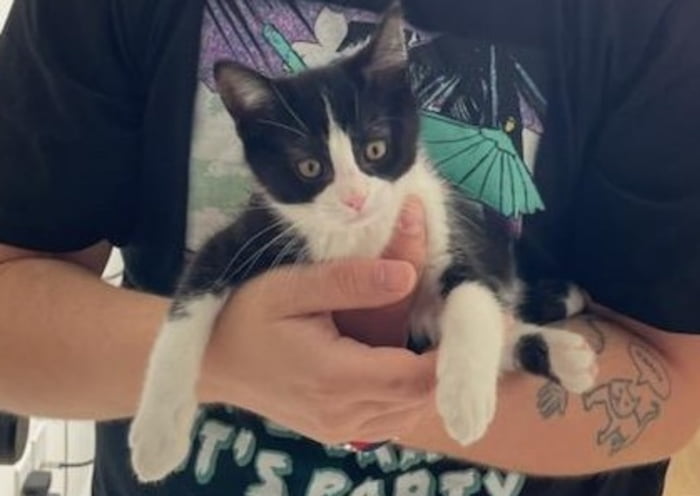 Susu is a Derpy Lil' Goober - 9GAG