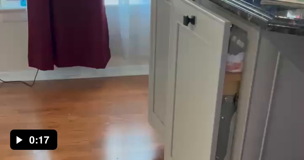 Caesar is VERY angry he only got dinner once!! 😡 - 9GAG