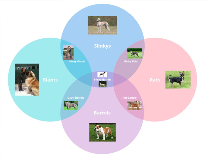 Welcome to the official categorisation of dog shapes - 9GAG