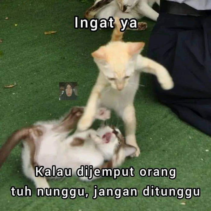 Kebiasaan ngaret anjenggg - 9GAG