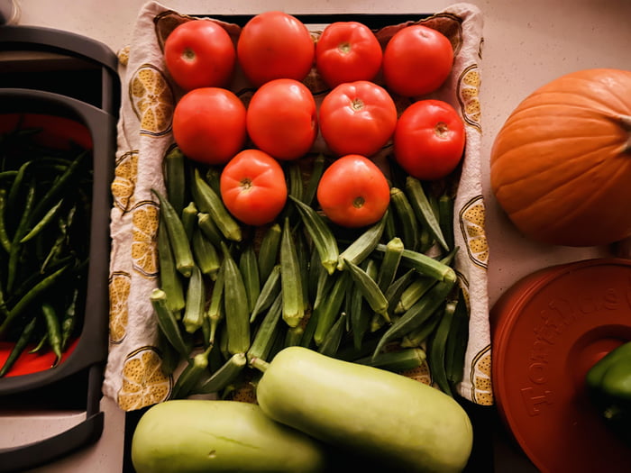 Freshly washed vegetables - 9GAG