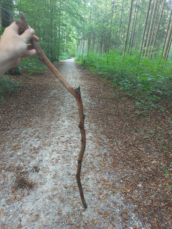 Somebody left this bad boy on the path. - 9GAG