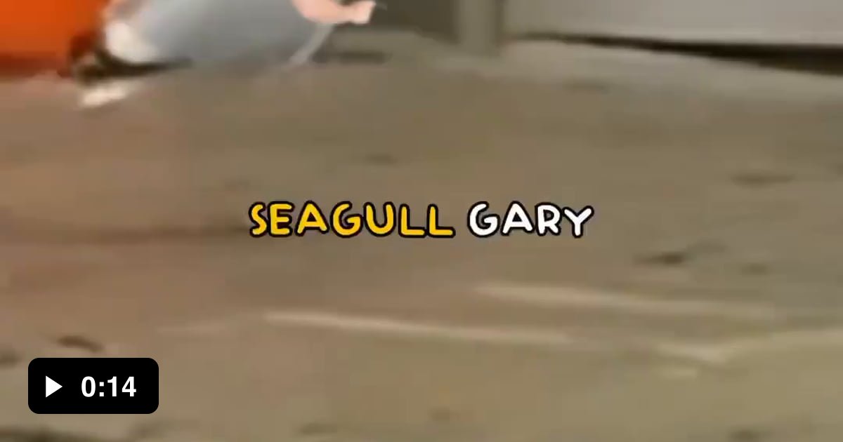 Seagull Gary - 9GAG