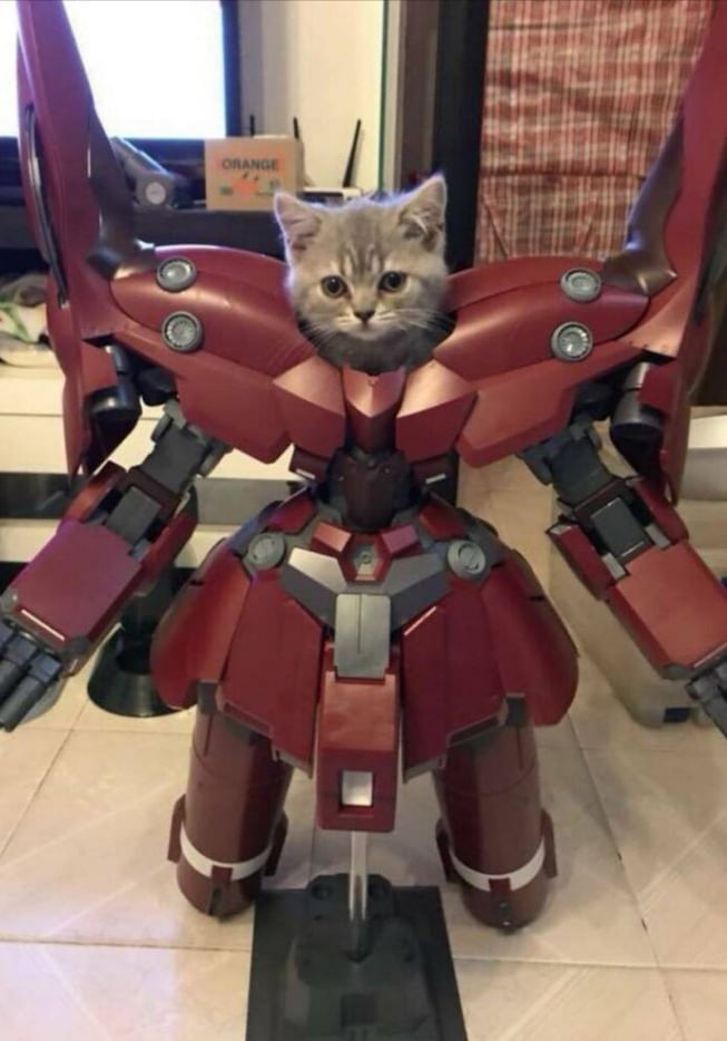 Robocat - 9GAG
