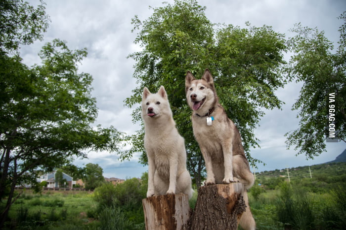 Smile! "Mleh!" - 9GAG