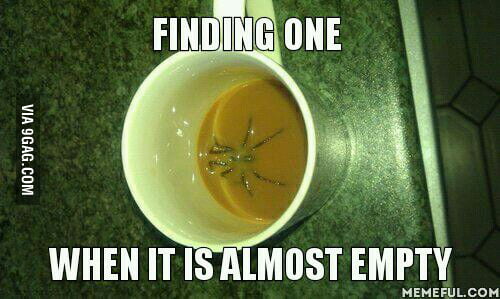 What is worst than finding a spider in your coffee? - 9GAG