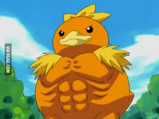 What torchic level 99 with perfect IV and EV looks like - 9GAG