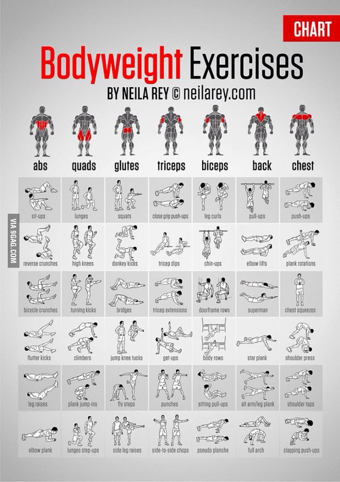 2 Week Exercise Plan To Lose Weight - coachingnews