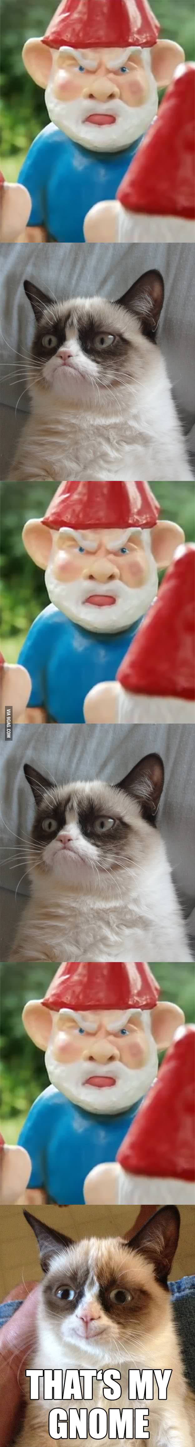 Grumpy gnome - 9GAG