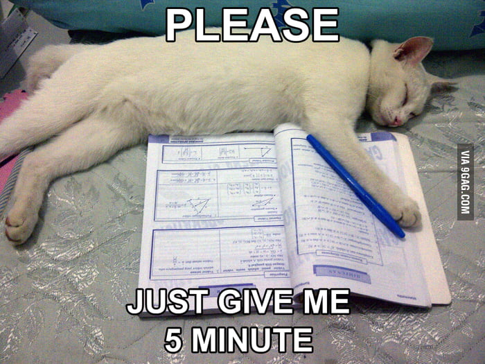 Whenever trying to study - 9GAG