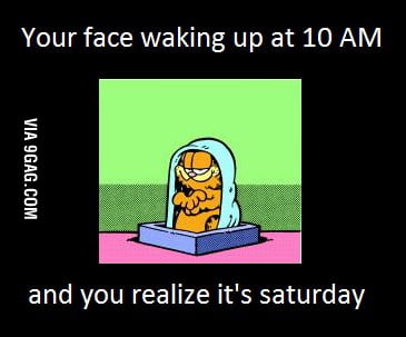 Waking up like Garfield - 9GAG