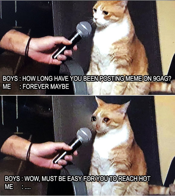 Moe : Not Today Friend - 9GAG