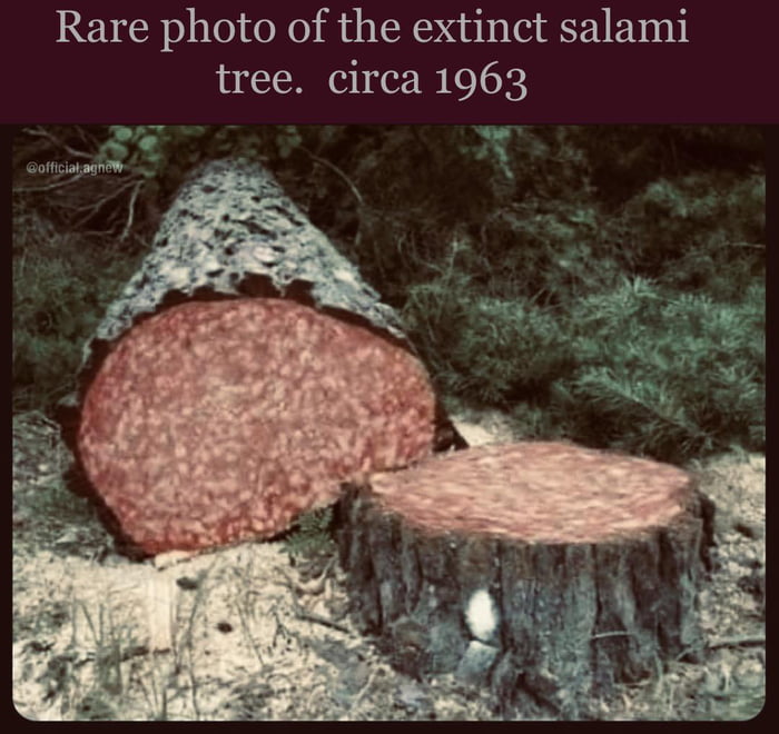 Harvesting a salami tree, circa 1963 - 9GAG