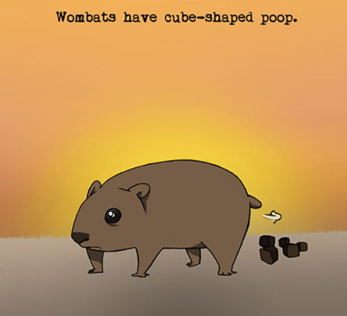 New meaning to shitting bricks. - 9GAG