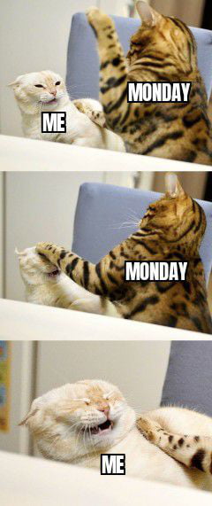 Let the suffering begin... again - 9GAG