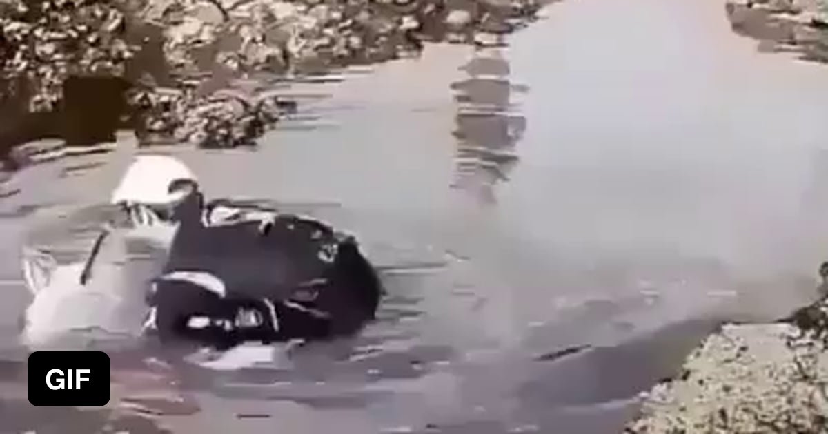 Helping a stranded fish - 9GAG