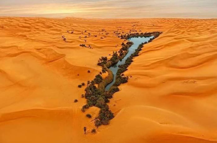 Seba Oasis in the middle of the Sahara desert. Libya. - 9GAG